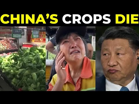 Agriculture APOCALYPSE — Crop Failures Spark Food Shortages, Prices SKYROCKET