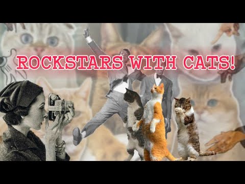 13 Of The Greatest Musicians Who Love Cats! (Famous people and Cats)