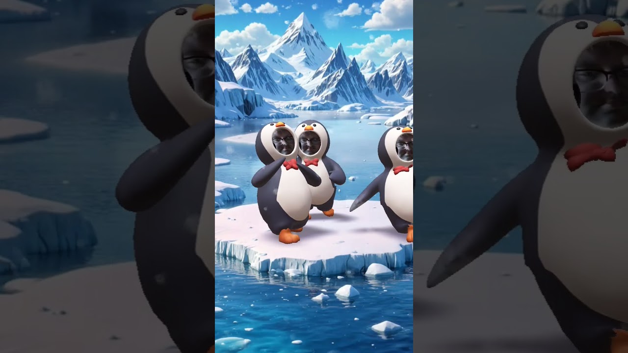 Penguins Dancing! #penguin #dancing #funny