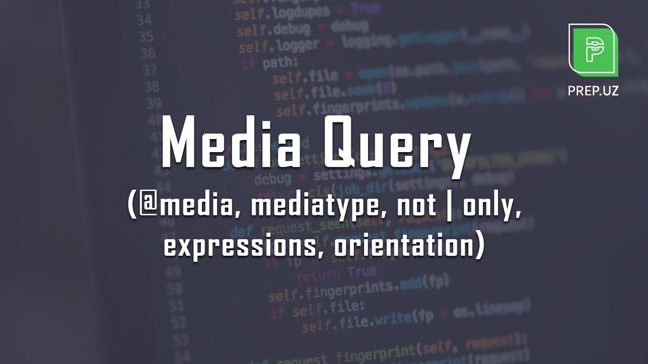 #25 Media Query