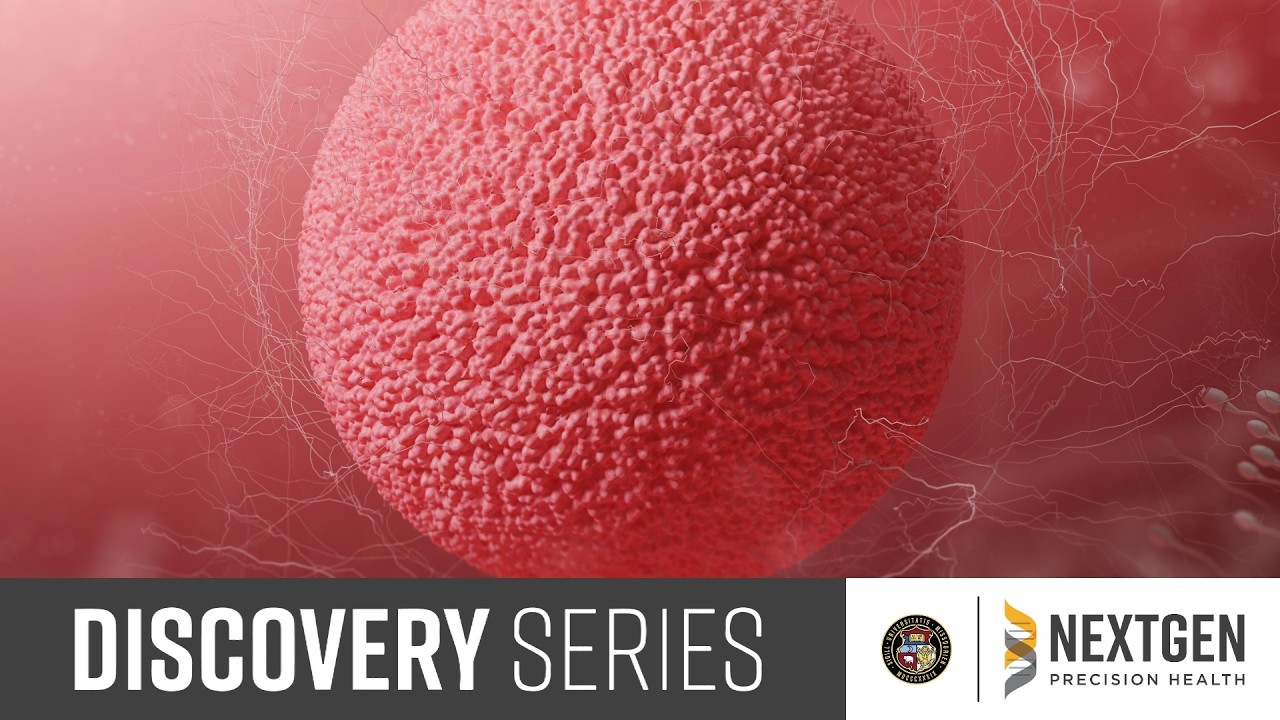 Rethinking Fertility: Why the Oviduct Matters (Wipawee 
