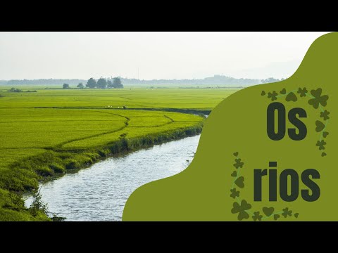 Os rios - Estudo do Meio 1º ciclo - O Troll explica...