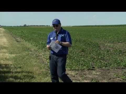 Southeast Research Farm - Chris Hay