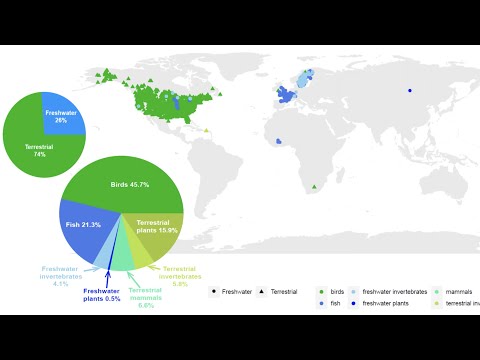 Project BioDyn: Studying community stability across freshwater and terrestrial realms