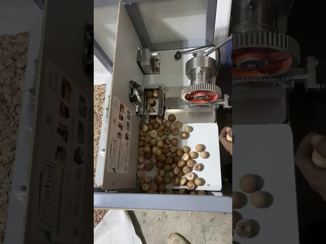 Betel Nut Cutting Machine - Mini Automatic Multi Supari Cutting Machine Manufacturer from Rajkot