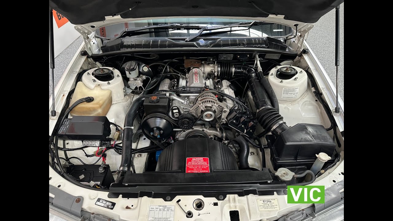 1994 Holden VR Executive - Engine Video