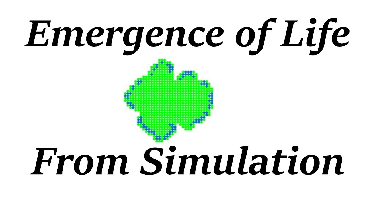Simulating Slime Mold Motility Patterns in Matlab: A PhD Class Project