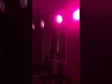 MBT 4 LED Par 64 200 Light Cans with controller and 12 foot | Reverb