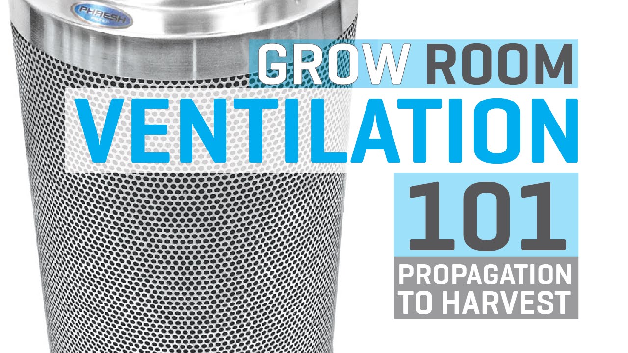 Grow Room Ventilation 101