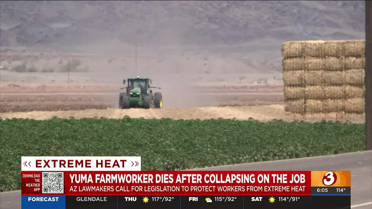 Yuma farmer dies on the job, leaves behind wife and kids