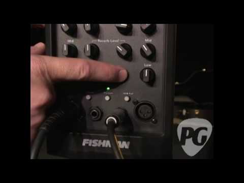 Fishman PRO-AMP-SL1 SoloAmp Performance System | Reverb