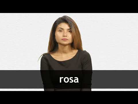 English Translation of “ROSA” | Collins Spanish-English Dictionary