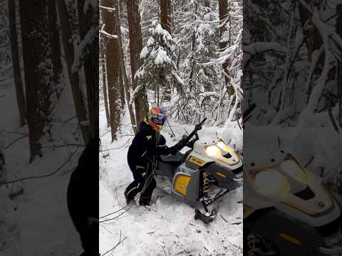 Снегоход Дедушка брп snowmobile BRP ski doo Legend #запрудклуб #snow #снегоооды59 #atv59 #пермь