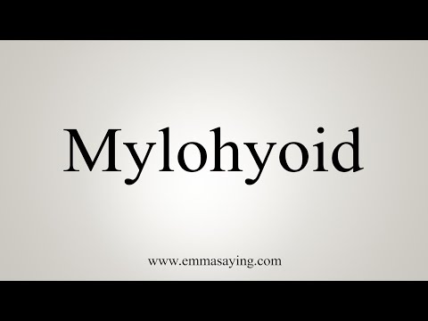 How To Say Mylohyoid