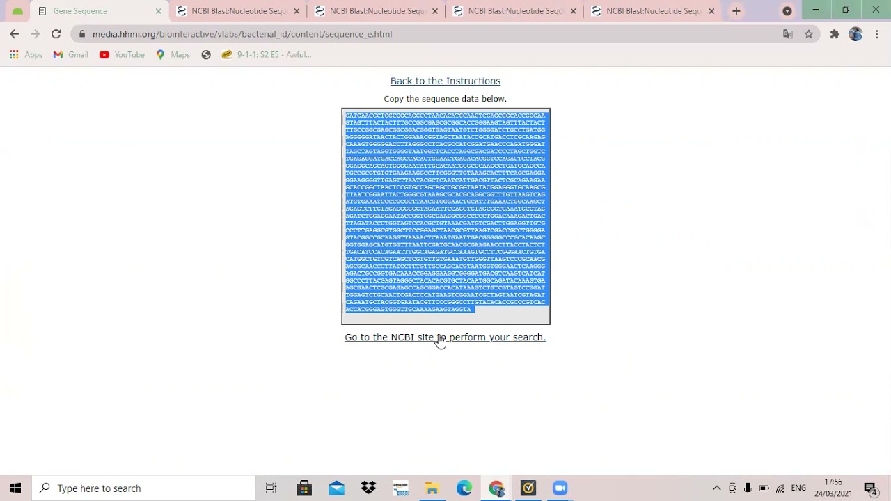 Bacterial Identification Virtual Lab