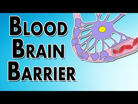 Blood-Brain Barrier