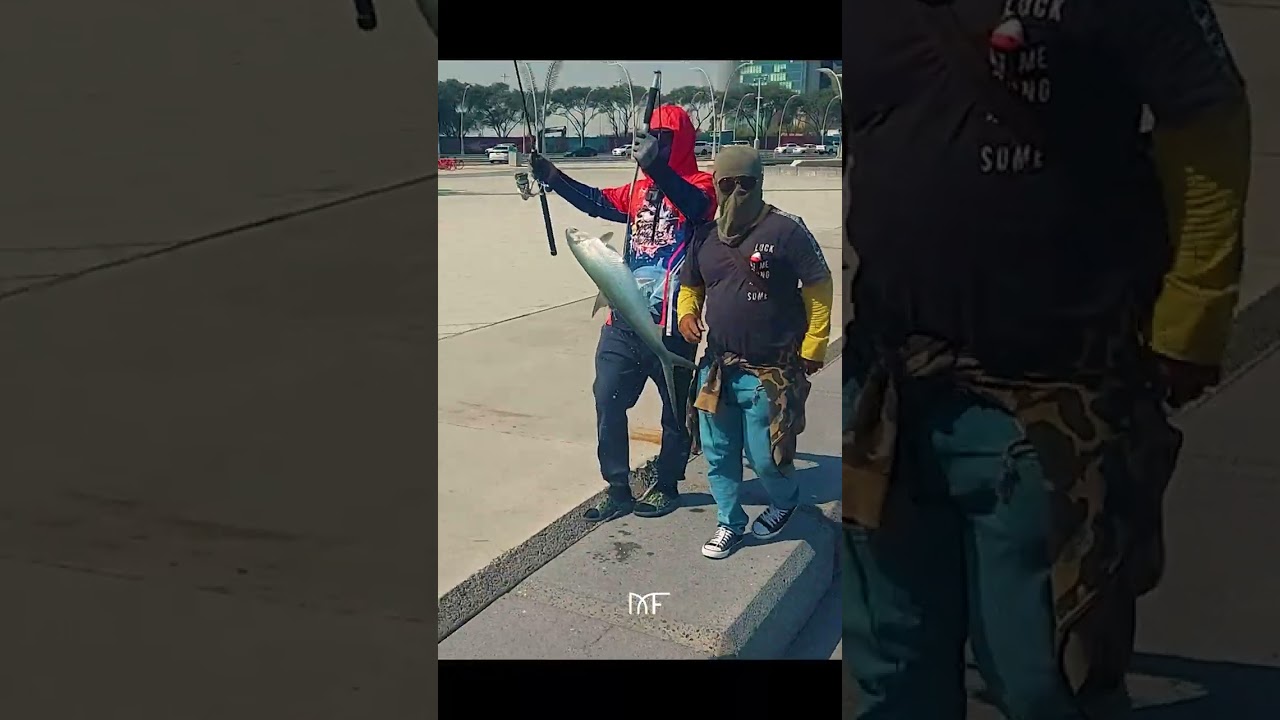 fishing...my frames...fishing video status