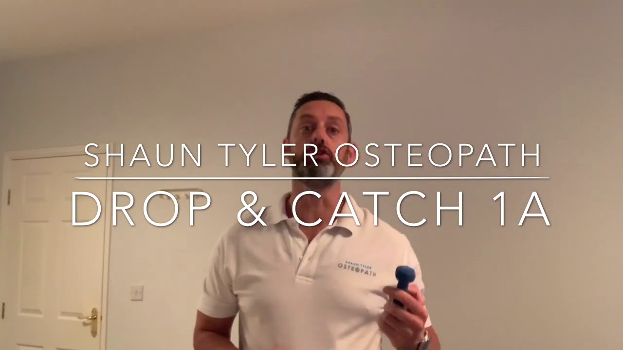 Drop & Catch 1a