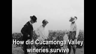 Janice Rutherford Second District Supervisor