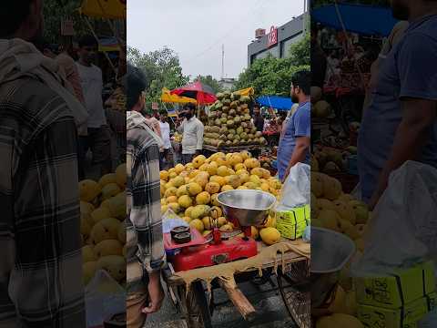Kapashera border Market new delhi
