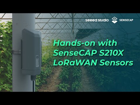 Unboxing SenseCAP S210X LoRaWAN Sensors: Get Data in 4 Steps