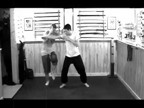 BUDO RYU – NINPO GOSHINTAIJUTSU – SELF DEFENSE WORKSHOP 2011 | Anshu ...
