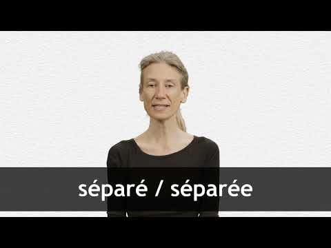 English Translation of “SÉPARÉ” | Collins French-English Dictionary