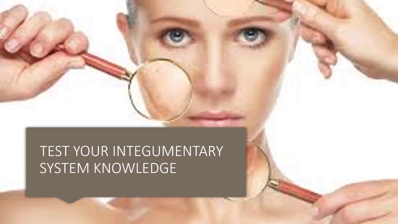 TEST YOUR INTEGUMENTARY SYSTEM KNOWLEDGE
