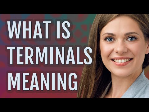 Terminals | meaning of Terminals