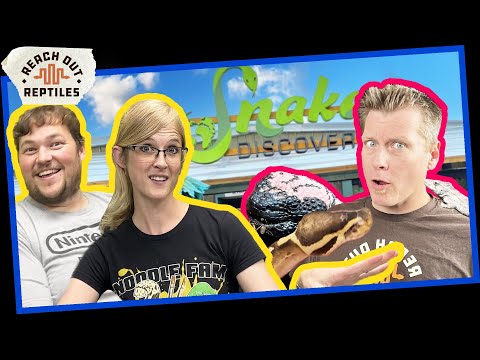 Snake Discovery: What You DON'T Get To See!