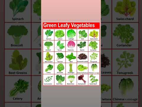 Green Leafy Vegetables Name in English ๐ฅฌ