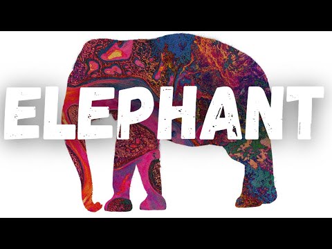 When Narcissism Meets Loneliness: Tame Impala's Elephant