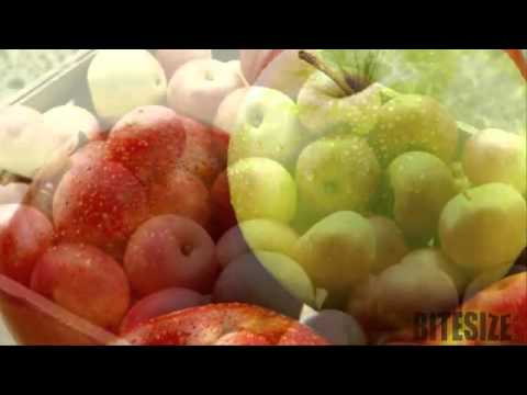 Buying and Storing Apples
