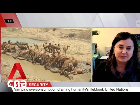Global water crisis not just about domestic water use: Expert