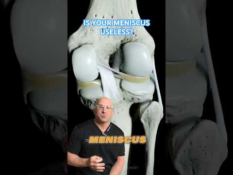 Here’s Why Your Meniscus Is So Important⁉️ #shorts