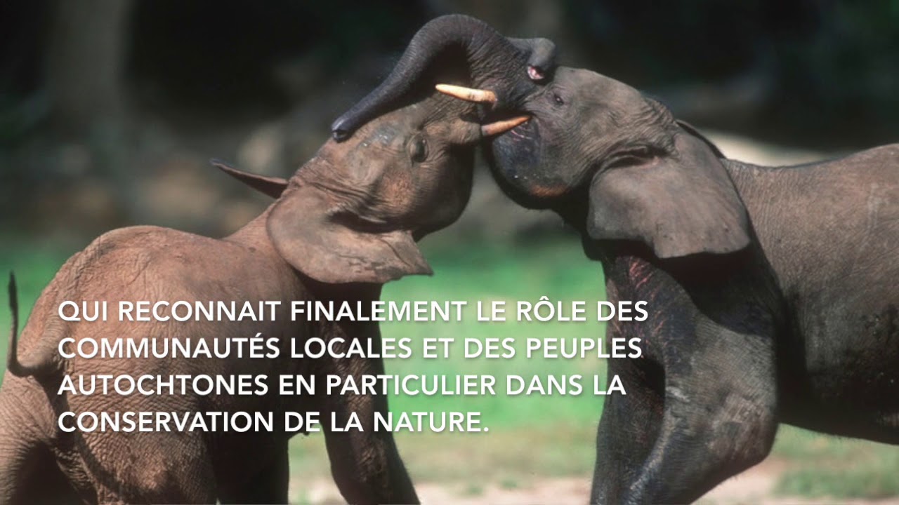 Conservation: The People's Perspective (FR subtitles)