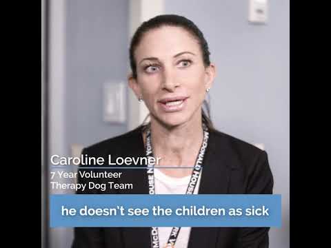 Ronald McDonald House New York Therapy Dog Social Ad Featuring Beau The Rescue