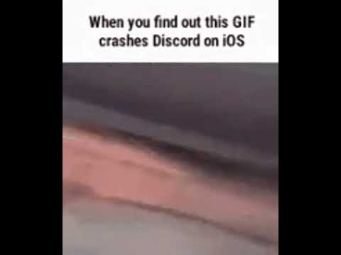 When you find out this GIF crashes Discord on iOS🤔