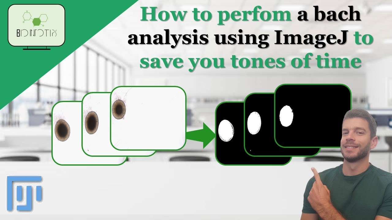 How to perfom a batch analysis using ImageJ to save you tons of time #imagej #batch #analysis