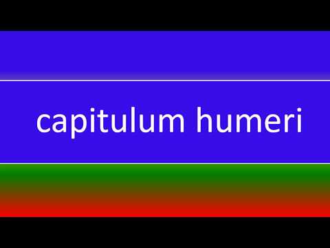 What is capitulum humeri?