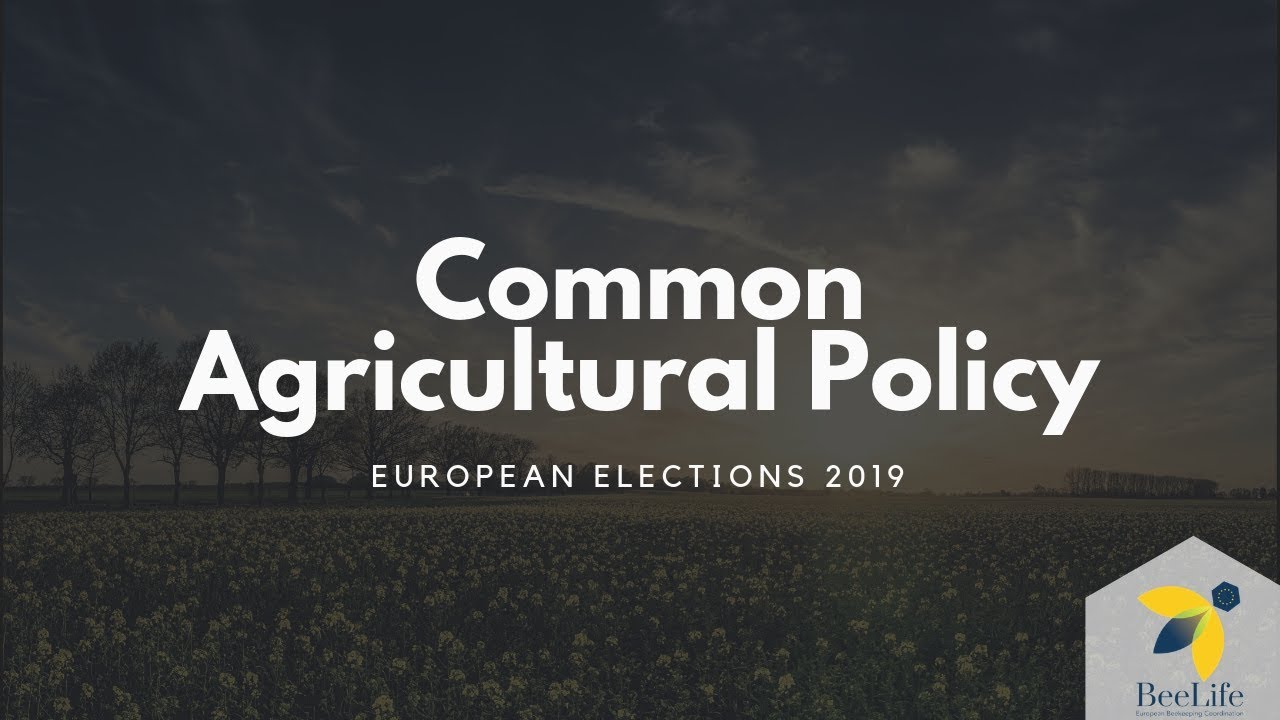 EU's Common Agricultural Policy - #EUElections2019