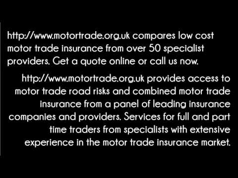 traders insurance