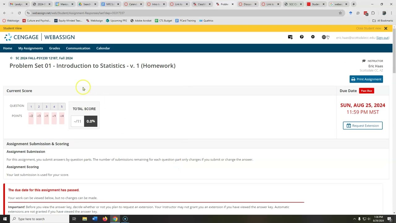 Automatic Extensions in WebAssign