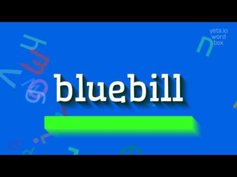 BLUEBILL - HOW TO PRONOUNCE IT?