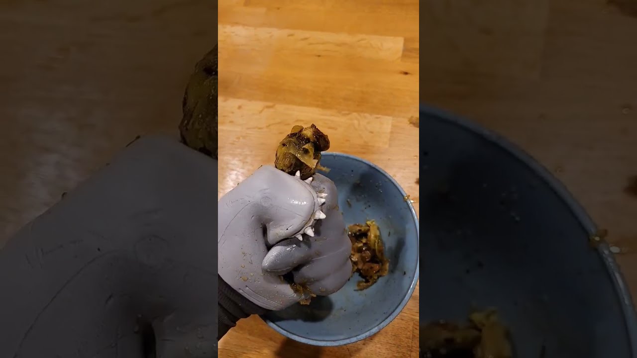 Hungry Hand eats Brussel Sprouts!