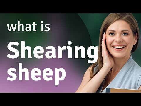 Understanding "Shearing Sheep": A Guide to English Phrases