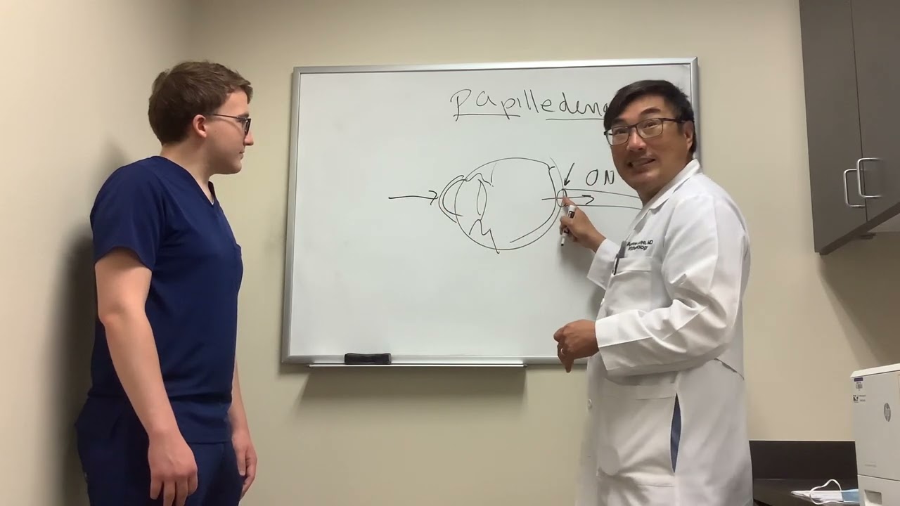 EyeWonder: Papilledema