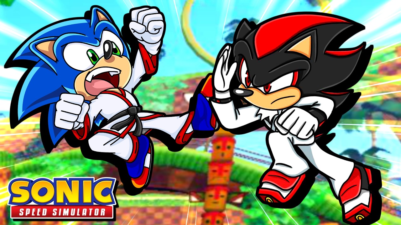 Karate Sonic VS Karate Shadow - Sonic Speed Simulator 🔵💨