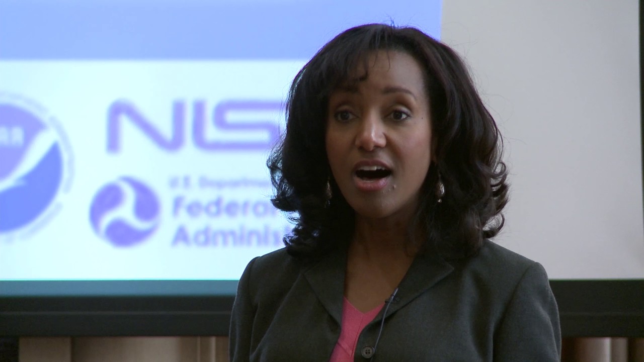 Design Science Seminar Series - Dr. Anna-Maria McGowan