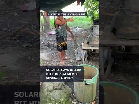 Prosecutors indict tanod who 'killed' golden retriever Killua